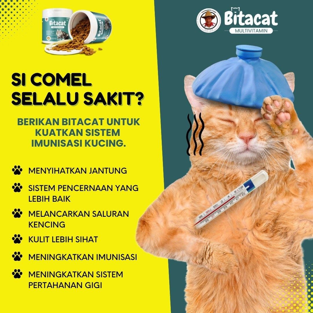‼️ INSTOCK ‼️ Bita Cat Supplement, Pet Supplies, Pet Food on Carousell