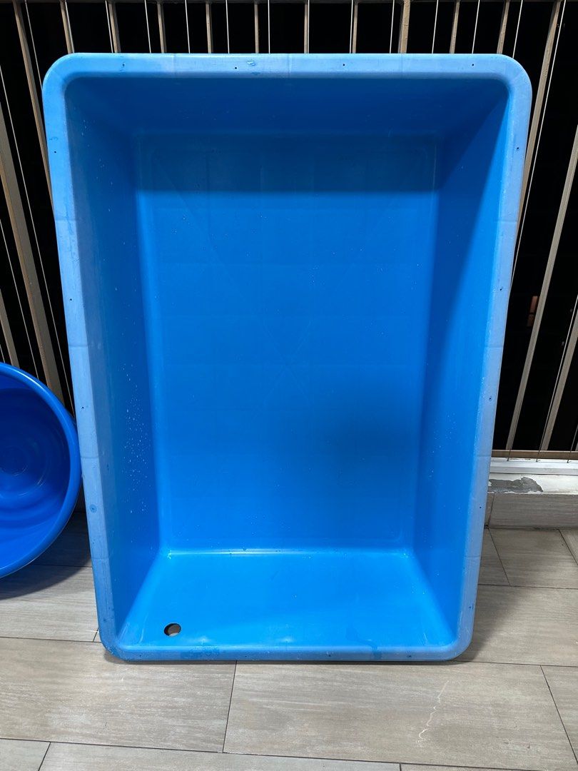 Blue Fish Tub, Pet Supplies, Homes & Other Pet Accessories on Carousell