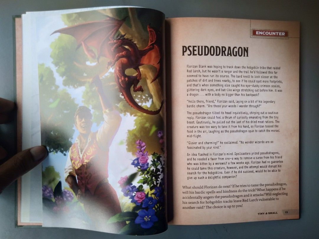 Dungeons and Dragons Beasts & Behemoths Hardbound, Hobbies & Toys ...
