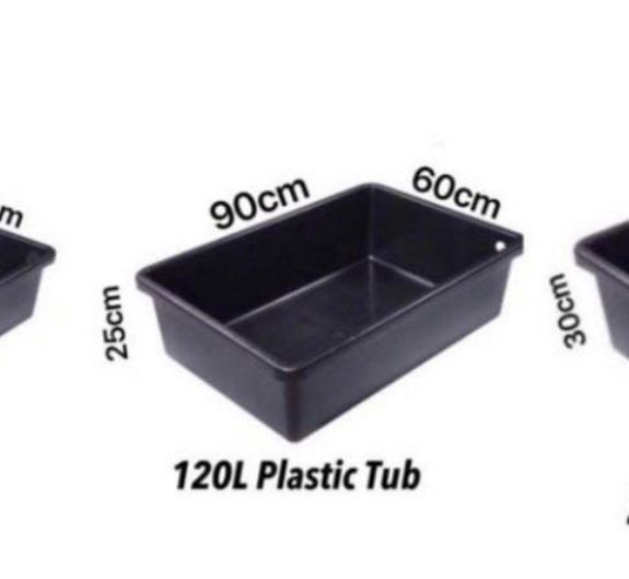 Guppy fish tub, Pet Supplies, Homes & Other Pet Accessories on Carousell