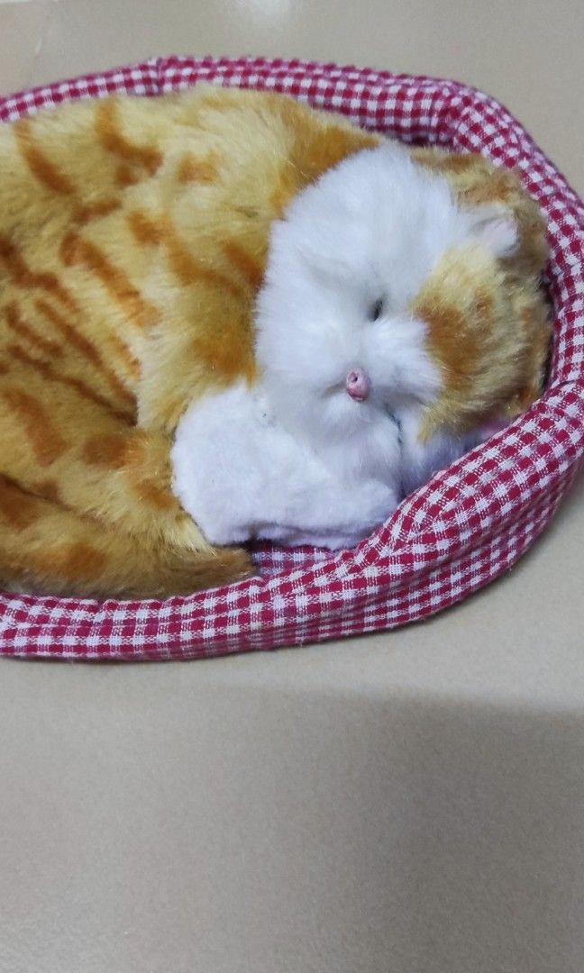 Kucing Comel Kucing Hiasan Comel, Furniture & Home Living, Home Decor,