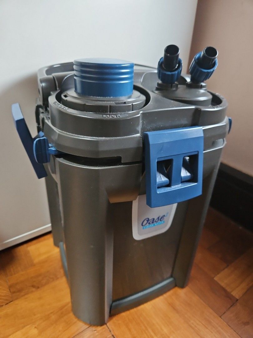 Oase Biomaster 250 External Filter, Pet Supplies, Homes & Other Pet ...