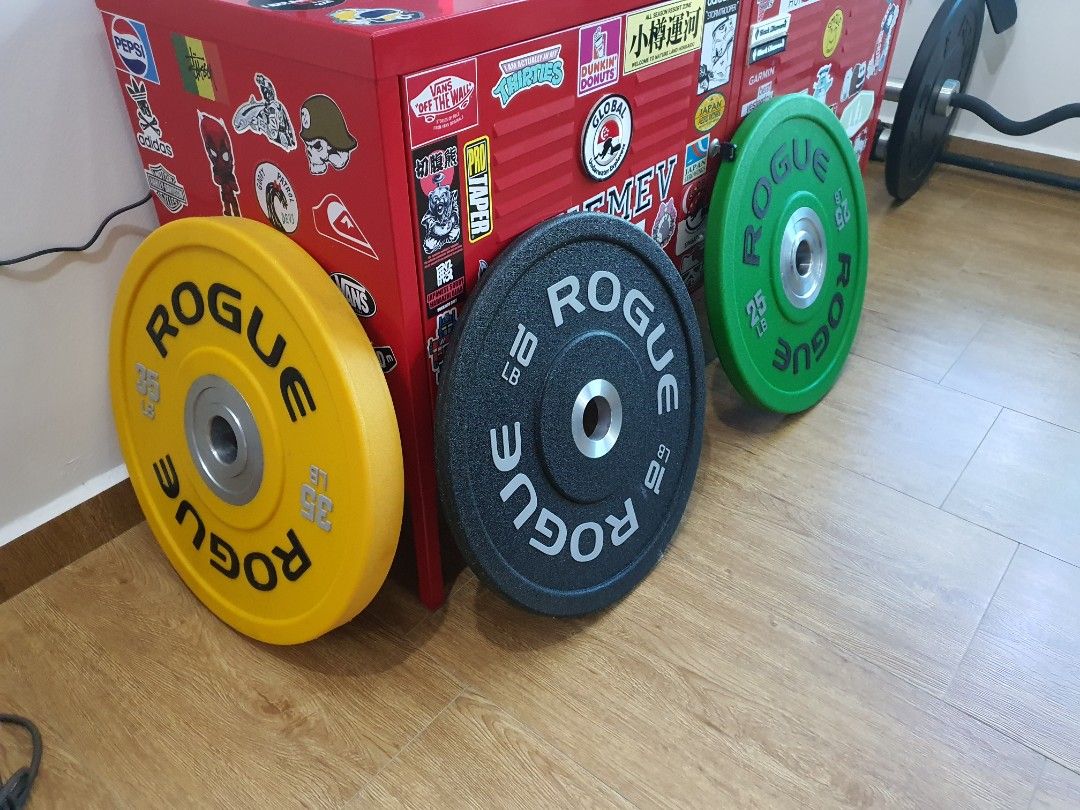 Rogue and other strength training, Sports Equipment, Exercise & Fitness ...