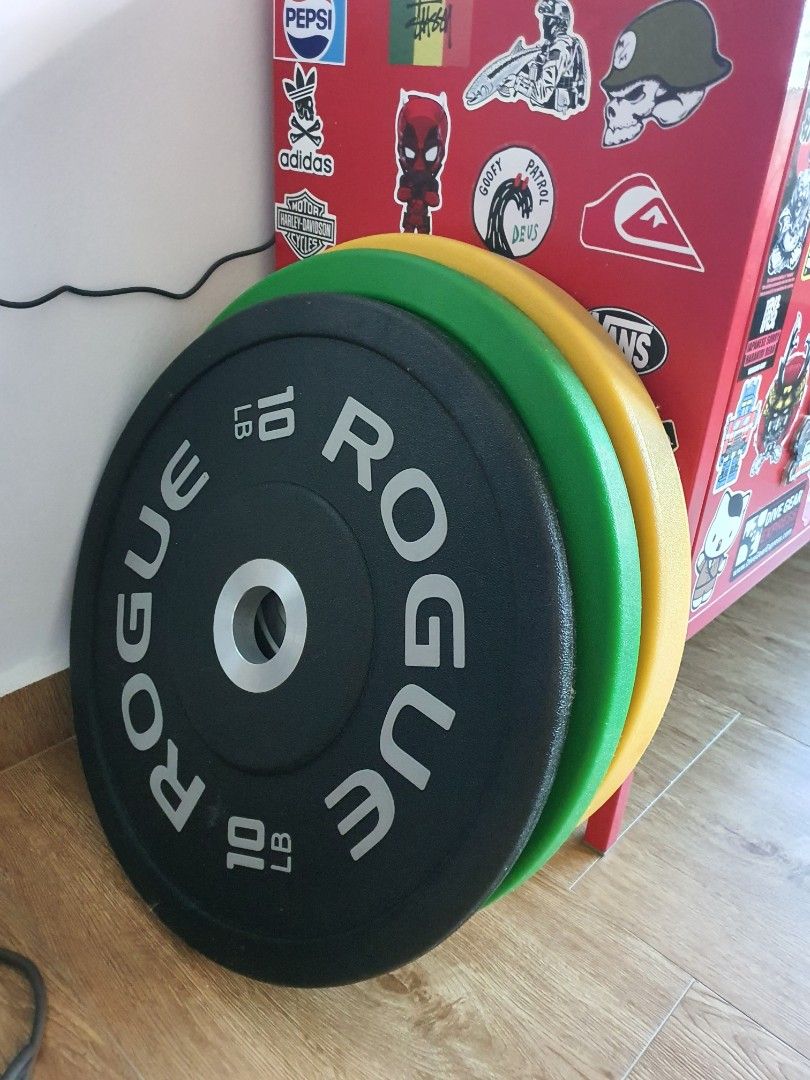 Rogue and other strength training, Sports Equipment, Exercise & Fitness ...
