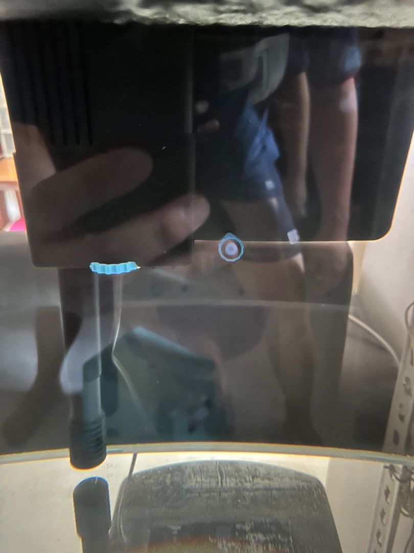 Seachem Tidal 110 Aquarium Filter, Pet Supplies, Homes & Other Pet Accessories on Carousell