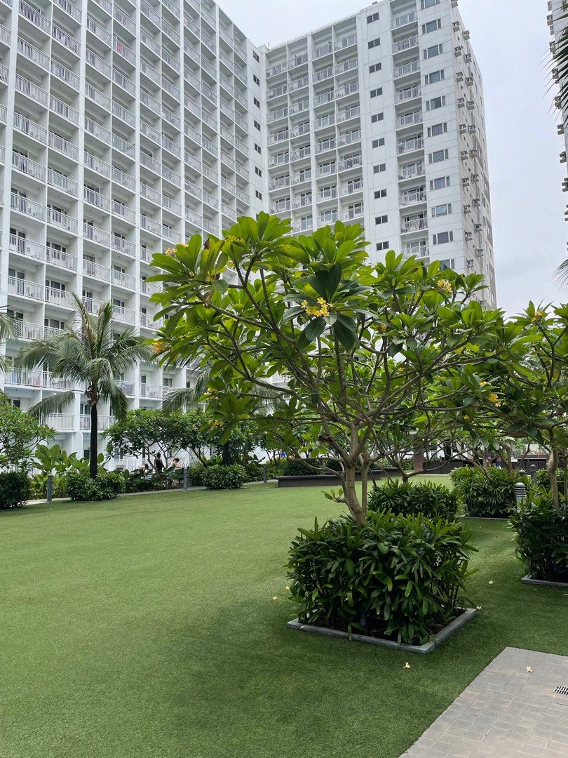 SMDC Shore 1 Residences 1 Bedroom with Balcony facing Amenities ...