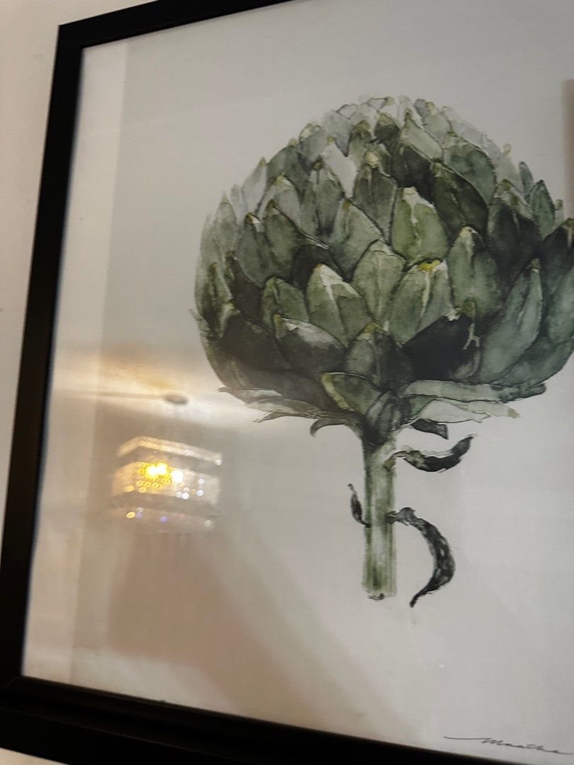 2 LARGE IKEA frames with Botanical prints, Furniture & Home Living ...