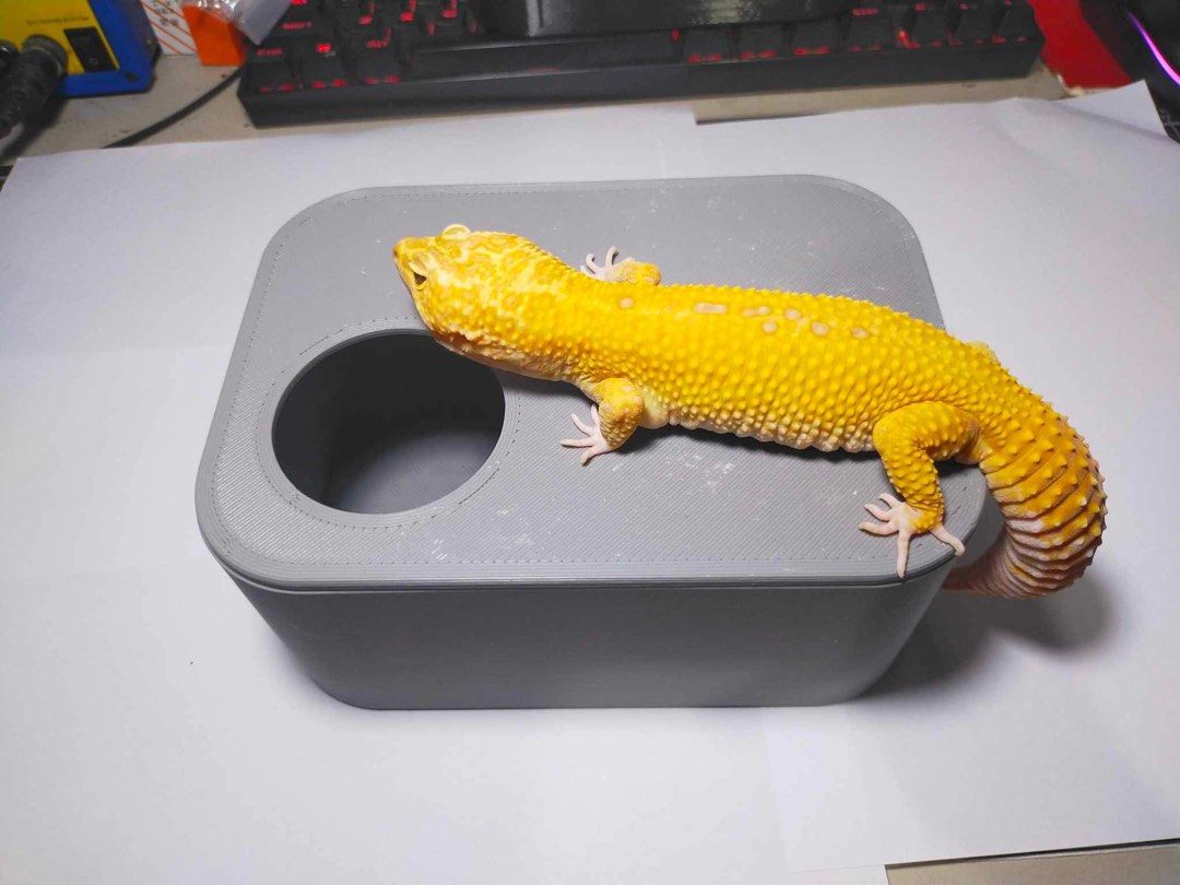 3D Printed Gecko/Hamster Tank Hide, Pet Supplies, Homes & Other Pet ...