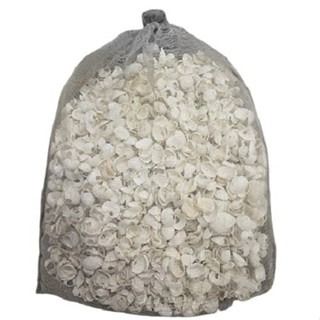5kg Oyster Shell / Sea Shell - Filter Media and pH Buffer For Koi Fish ...