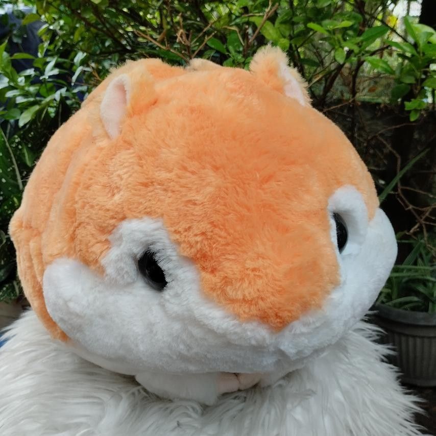 AMUSE Cute Plush Hamster Korohamu on Carousell