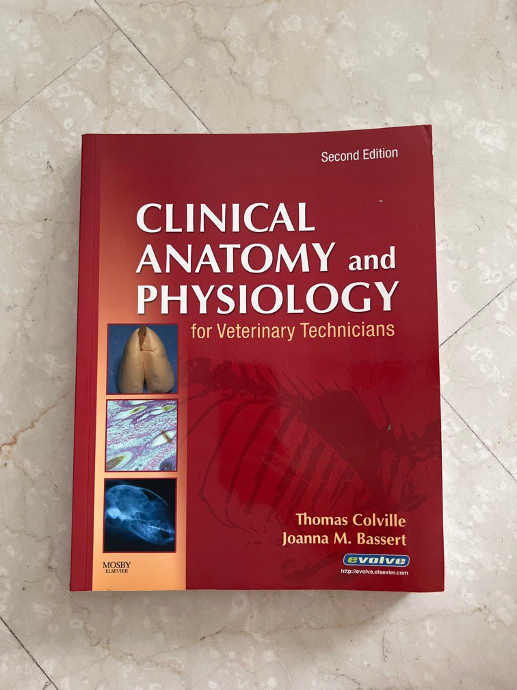 Clinical Anatomy and Physiology, Hobbies & Toys, Books & Magazines ...