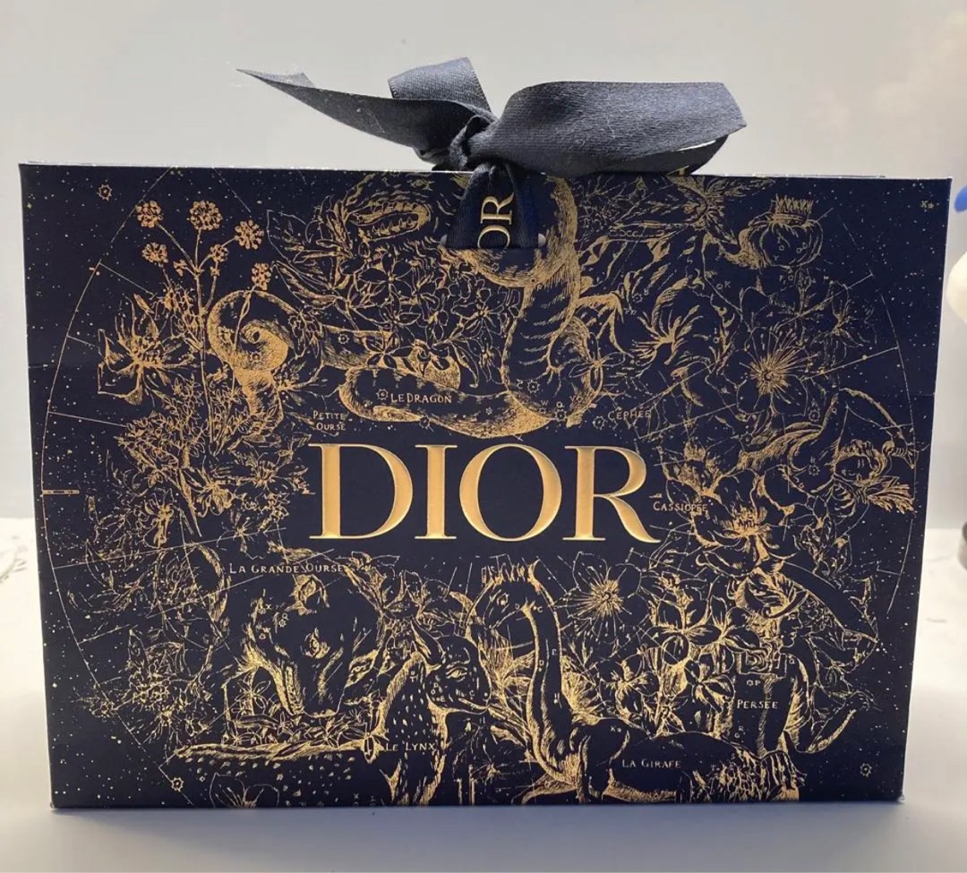 Dior paper bag box, Women's Fashion, Watches & Accessories, Other ...