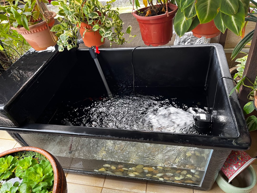 Fibreglass tank, Pet Supplies, Homes & Other Pet Accessories on Carousell