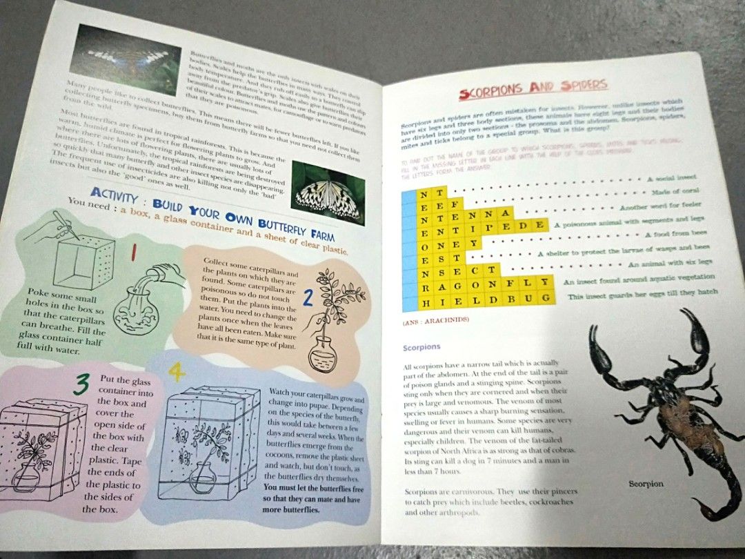Fun With Creepy Crawlies Fragile Forest Activity Book, Hobbies & Toys ...