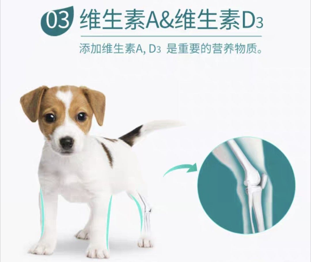 Goat Milk Pudding Fish Oil Jelly Pudding Dog Hamster Snacks Dog Treats ...