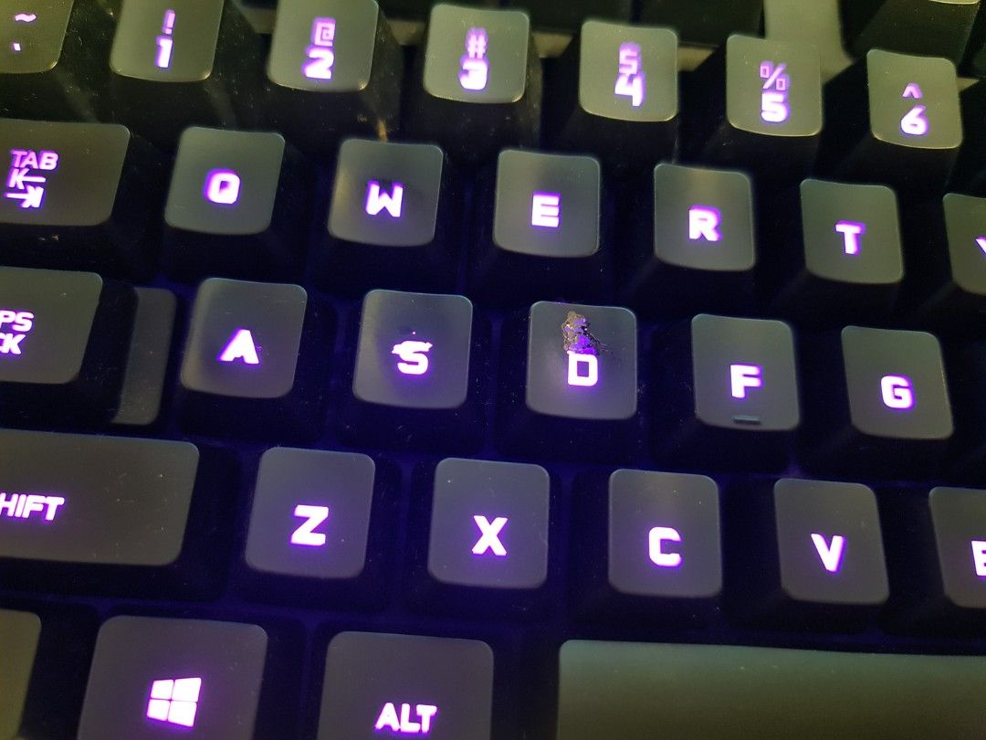 Logitech Pro RGB Gaming Keyboard, Computers & Tech, Parts & Accessories ...