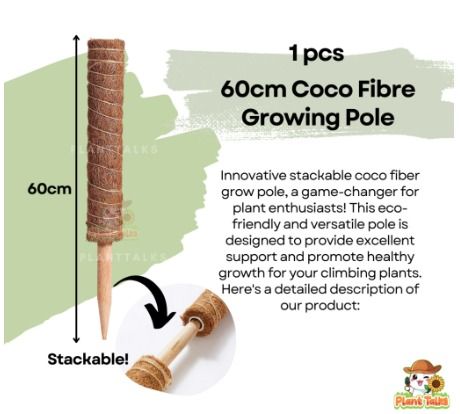 Plant Talks Coco Coir Grow Pole Honeycomb Moss Climbing Pole Plant ...