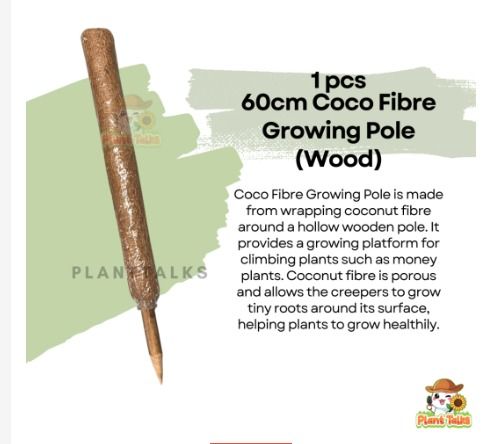 Plant Talks Coco Coir Grow Pole Honeycomb Moss Climbing Pole Plant ...