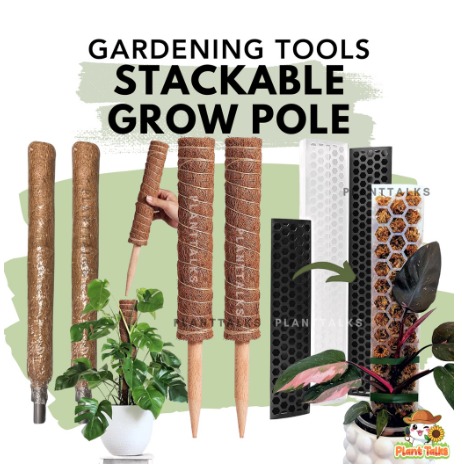 Plant Talks Coco Coir Grow Pole Honeycomb Moss Climbing Pole Plant ...