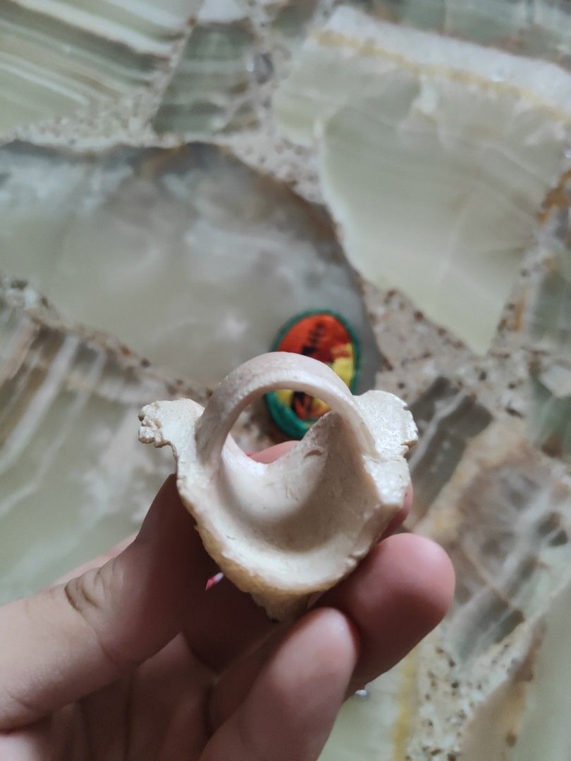 Scouts Animal woggle, Everything Else on Carousell