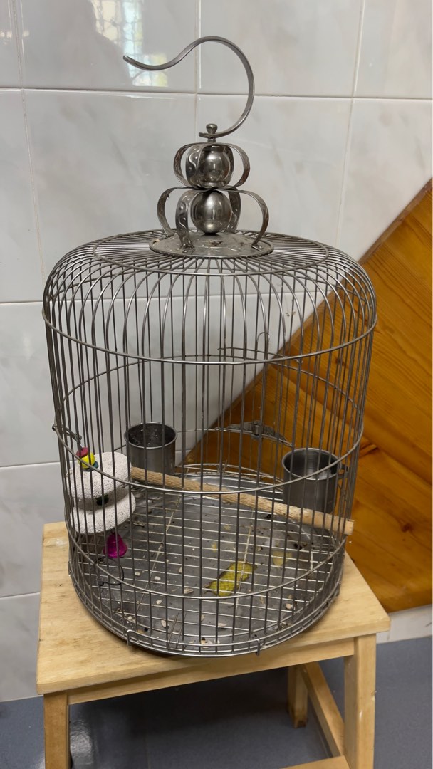 Stainless steel bird case, Pet Supplies, Homes & Other Pet Accessories ...