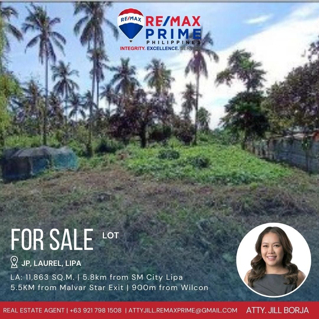 1.1 Hectare Lot FOR SALE beside LIMA Estate, Lipa City Batangas ...
