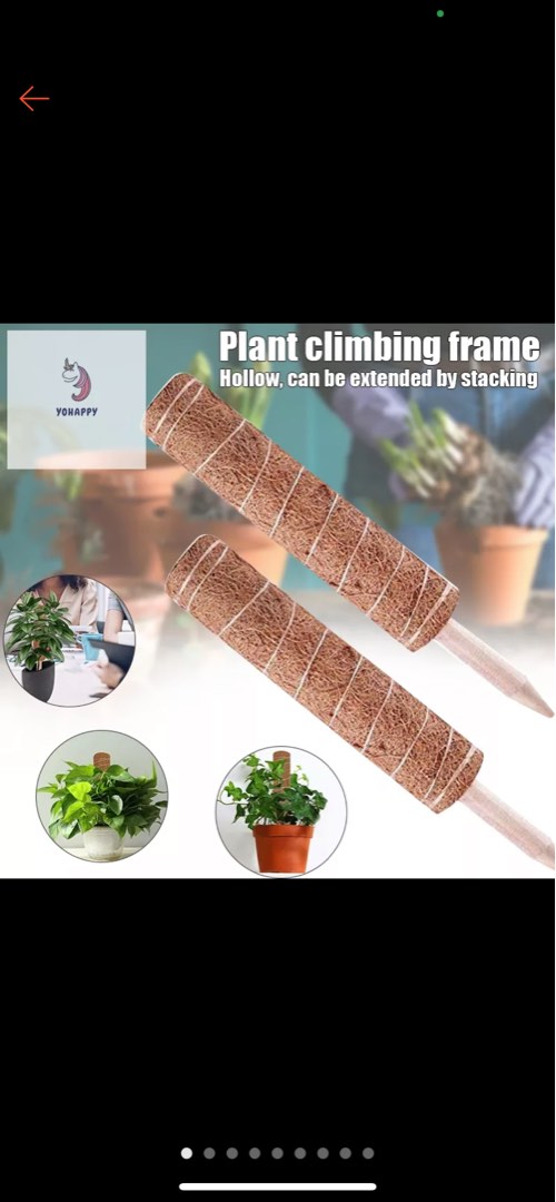 40CM Plant Climbing Pole Coir Moss Stick, Furniture & Home Living ...
