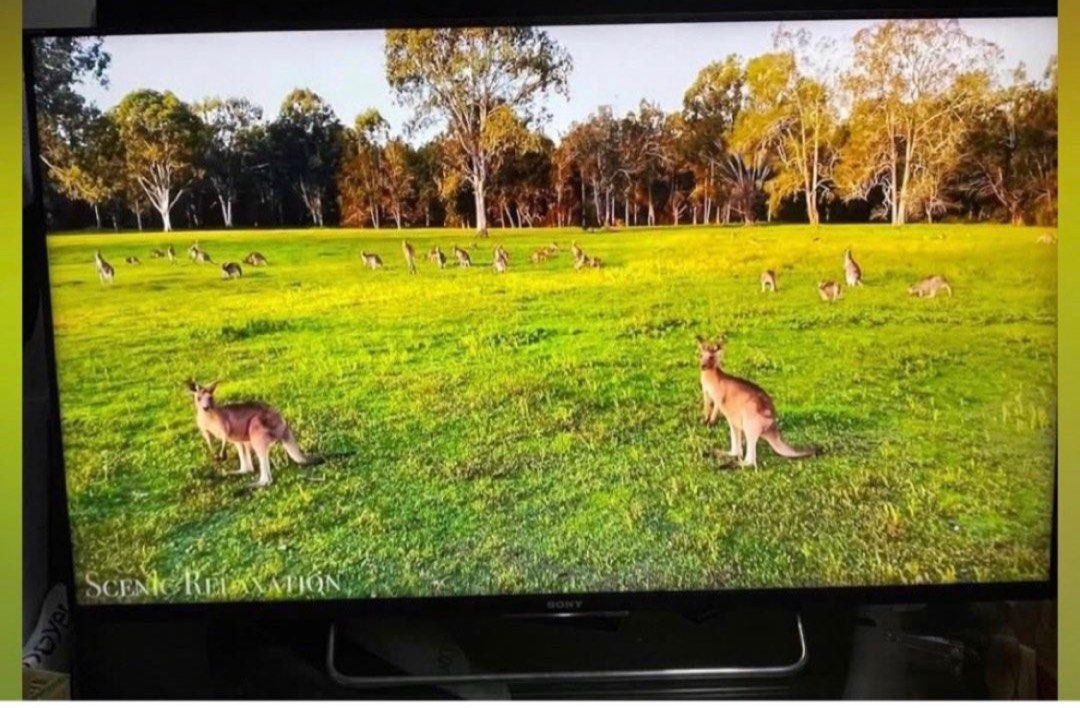 50inch Sony smart TV (HD), TV & Home Appliances, TV & Entertainment, TV ...