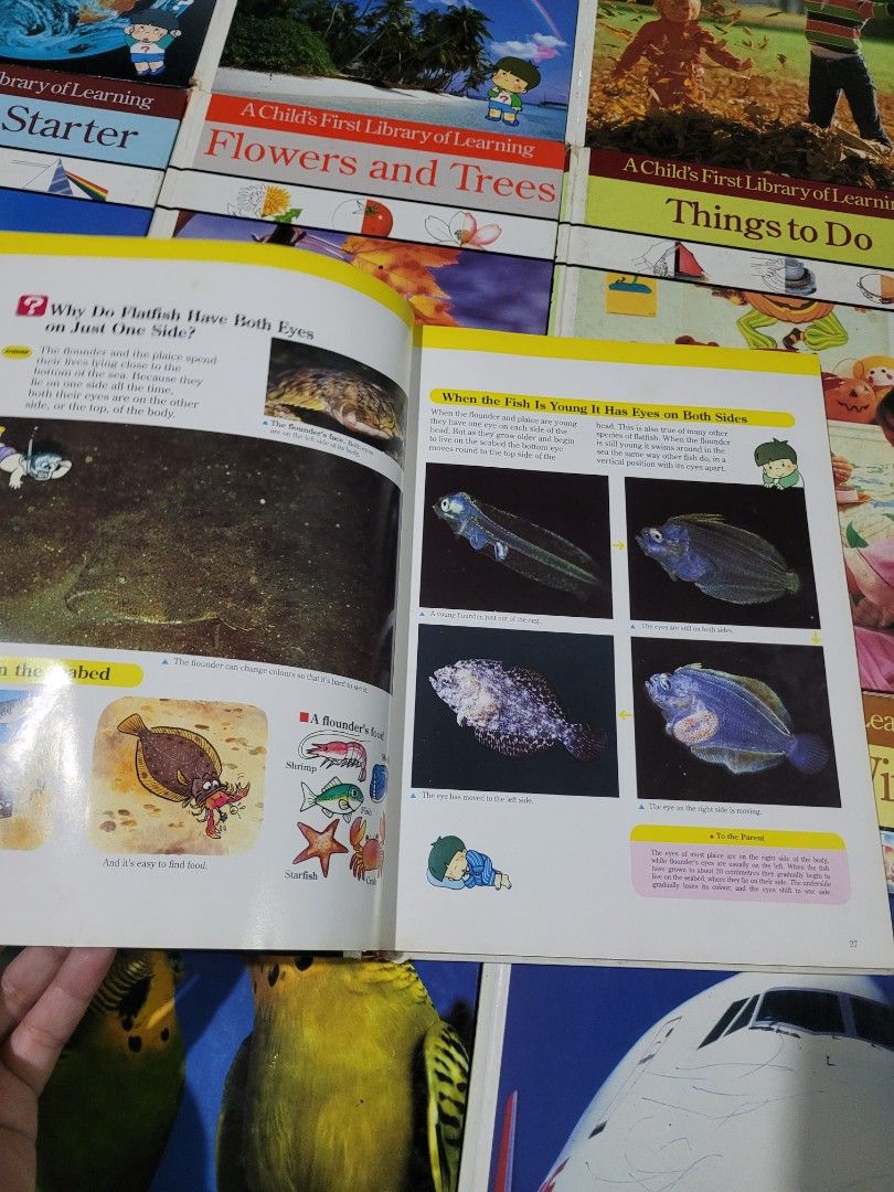 A Child's First Library of Learning, Hobbies & Toys, Books & Magazines ...