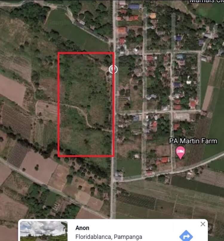 Anoon Florida Pampanga lot along cemented road 1.7 hectares clean title ...