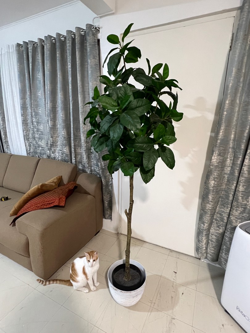 IKEA Fejka Fake / Artificial Tree LOOKS REAL!, Furniture & Home Living ...
