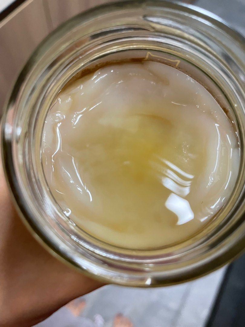 Kombucha Scoby, Health & Nutrition, Health Supplements, Health Food ...