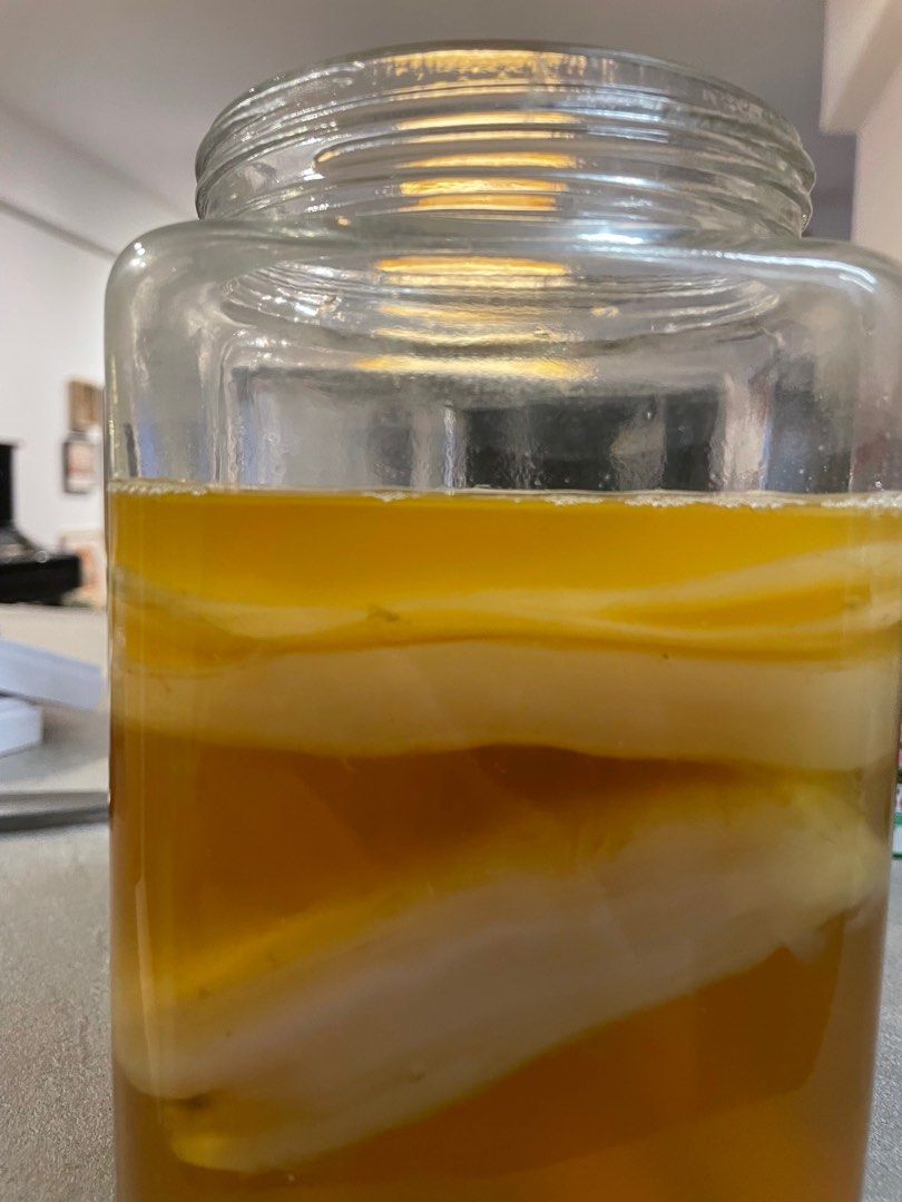 Kombucha Scoby $2 / $4/$6, Health & Nutrition, Health Supplements ...