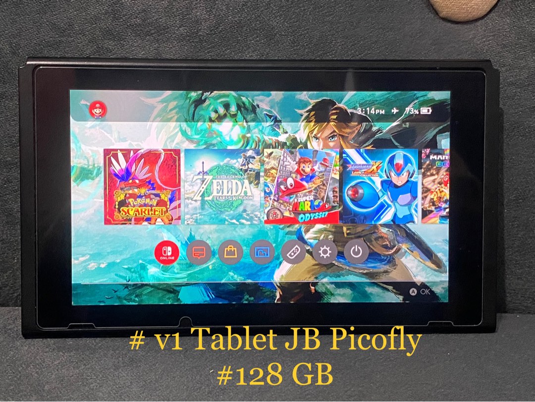 Nintendo Switch V1 Tablet - JB Picofly (#07), Video Gaming, Video Game ...