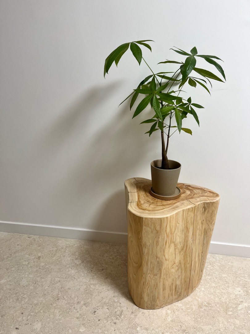 Odd-shaped unique real wood tree trunk stool, Furniture & Home Living ...