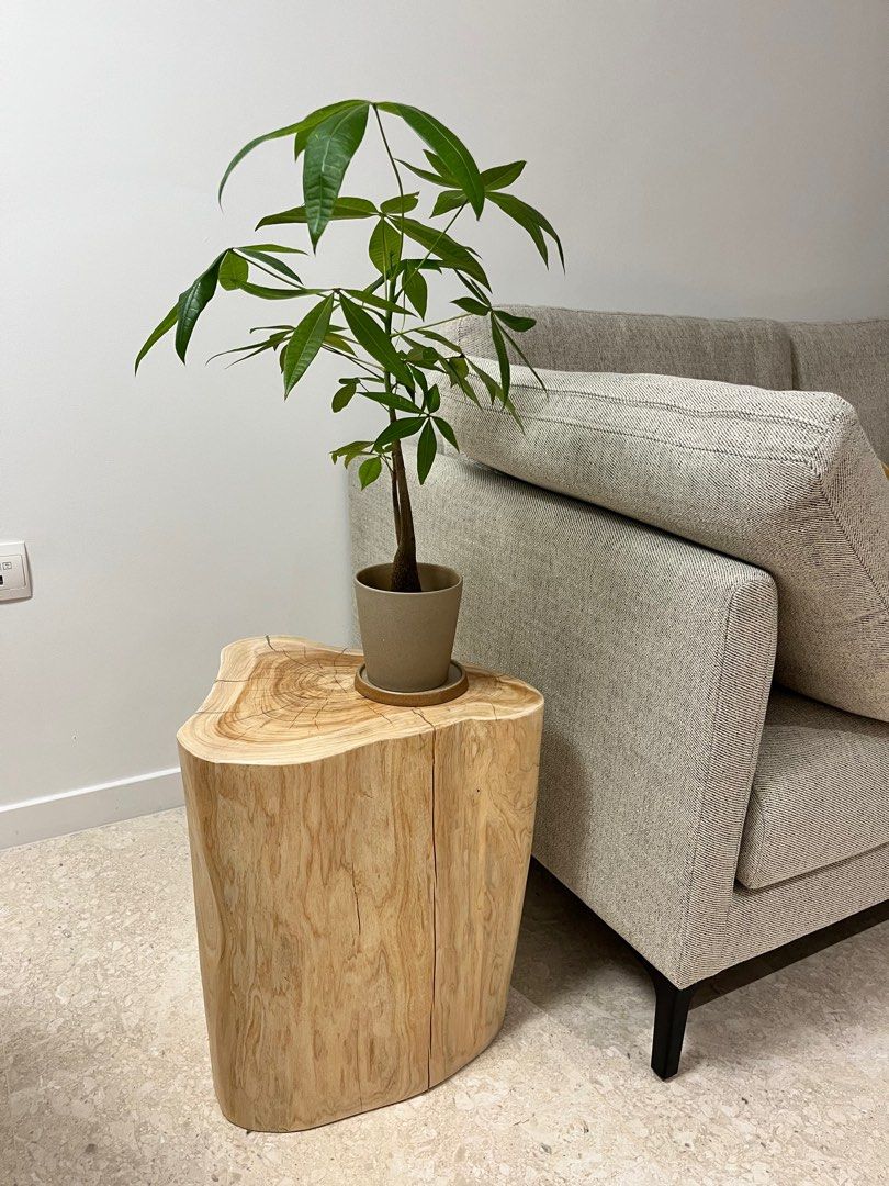 Odd-shaped unique real wood tree trunk stool, Furniture & Home Living, Furniture, Other Home ...