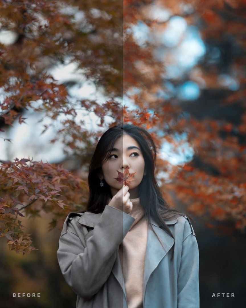 Pat Kay - The Complete Collection (Adobe Lightroom Preset Pack ...