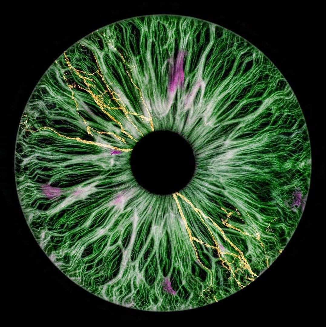 Dear Insanity - DPR IAN, Hobbies & Toys, Music & Media, CDs & DVDs on ...