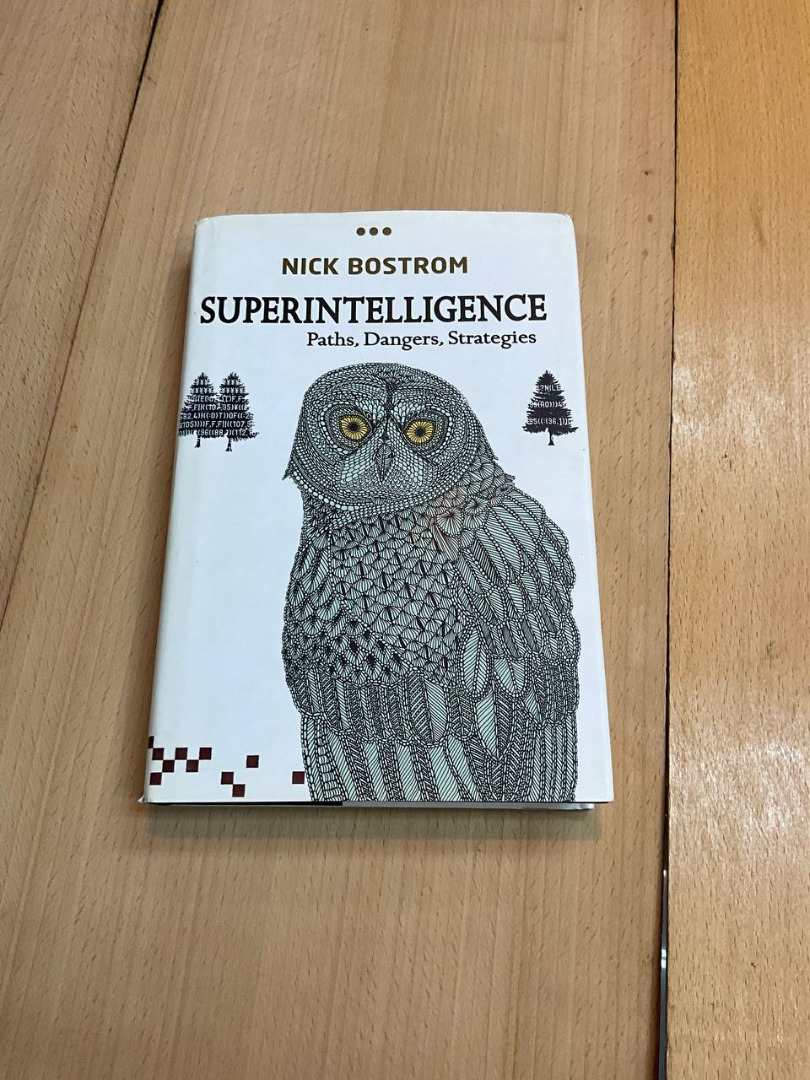 Superintelligence by Nick Bostrom, 興趣及遊戲, 書本 & 文具, 小說 & 故事書 - Carousell