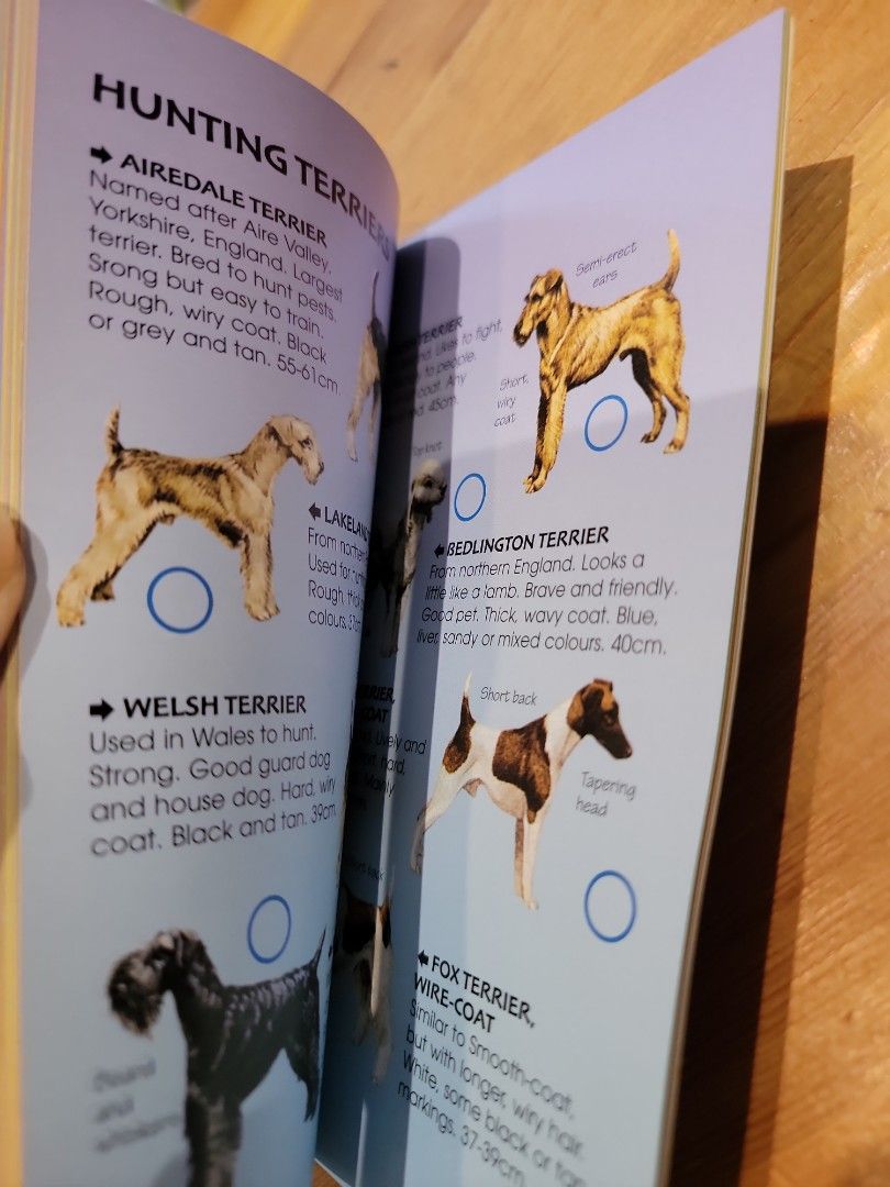 全新英文Usborne Spotter's guide Dogs, 興趣及遊戲, 書本 & 文具, 小朋友書 - Carousell