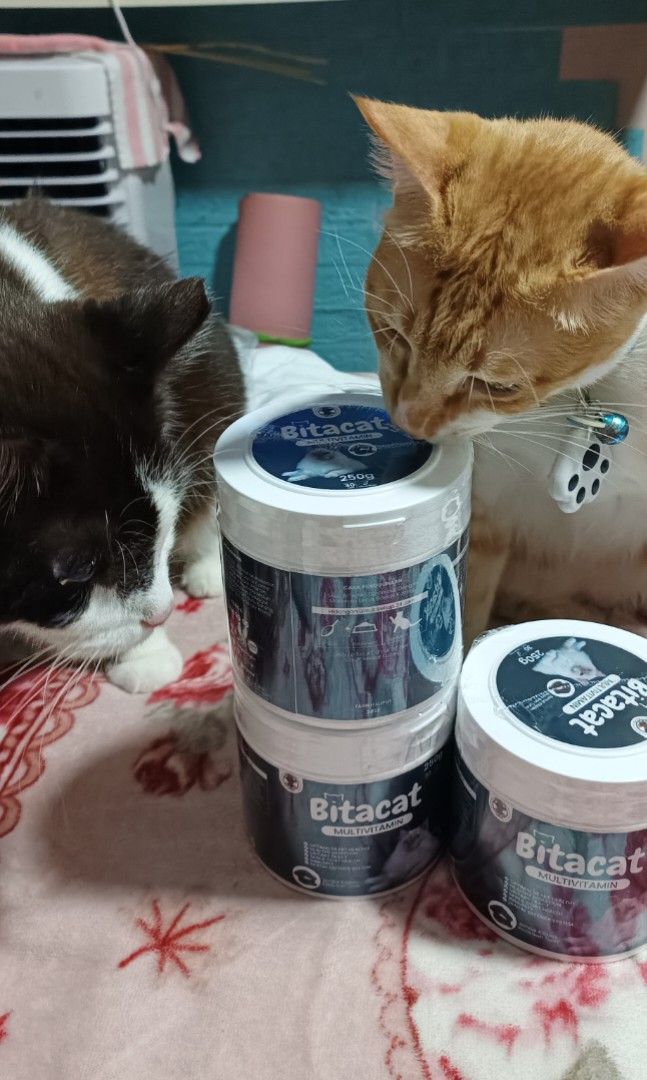 ‼️ INSTOCK ‼️ Bita Cat Supplement, Pet Supplies, Pet Food on Carousell