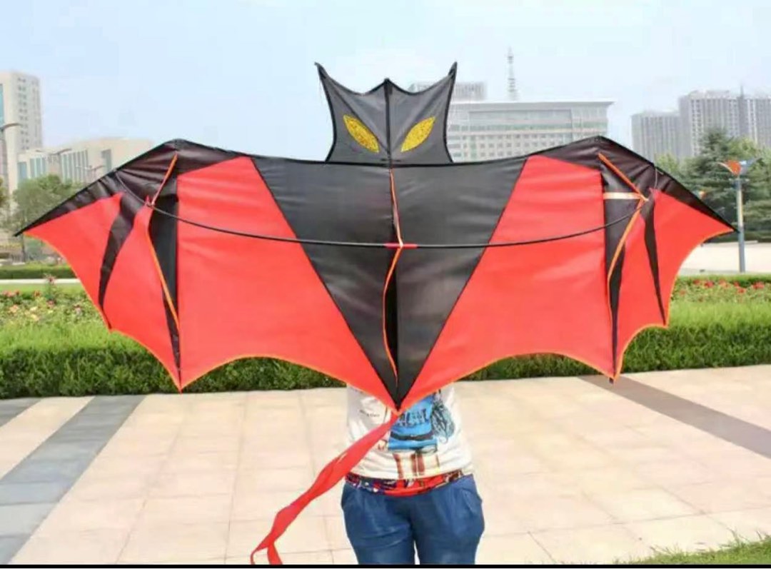 Bat kite, Hobbies & Toys, Toys & Games on Carousell