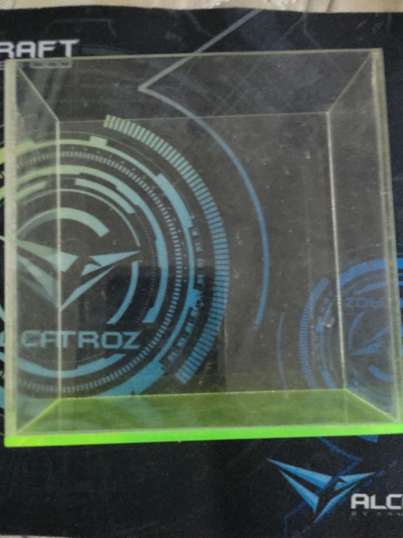 Bekas lutsinar ikan laga (untuk competition), Pet Supplies, Homes ...