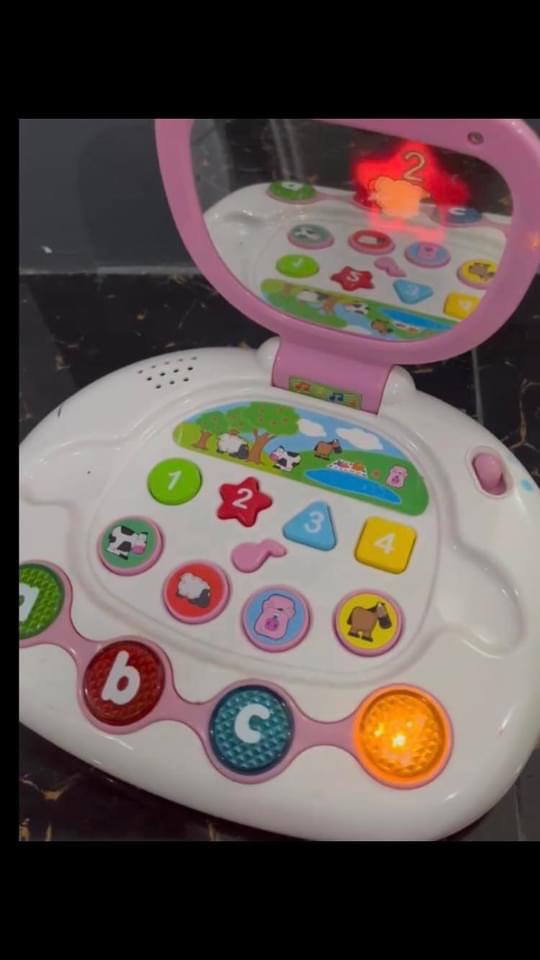 Carousel Animal Laptop, Hobbies & Toys, Toys & Games on Carousell