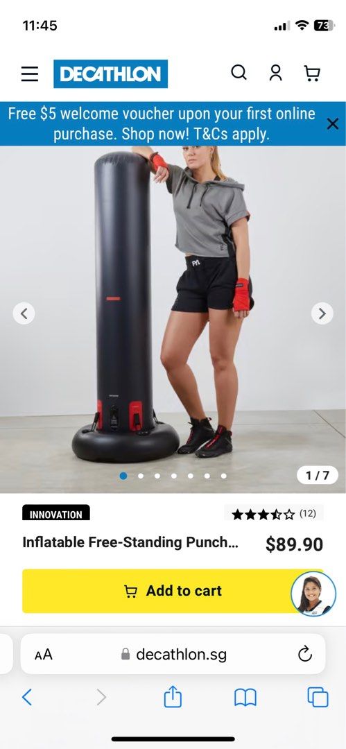 Decathalon Boxing bag and boxing gloves 12oz, Sports Equipment, Other ...