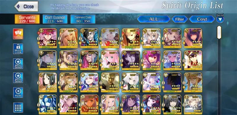 Fate Grand Order FGO NA 31 SSR Full Support RGB Endgame (Castoria ...