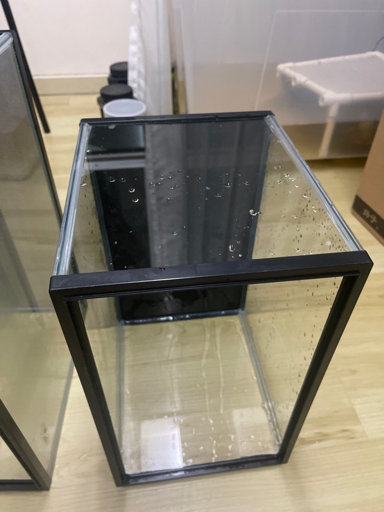 Glass tank, Pet Supplies, Homes & Other Pet Accessories on Carousell