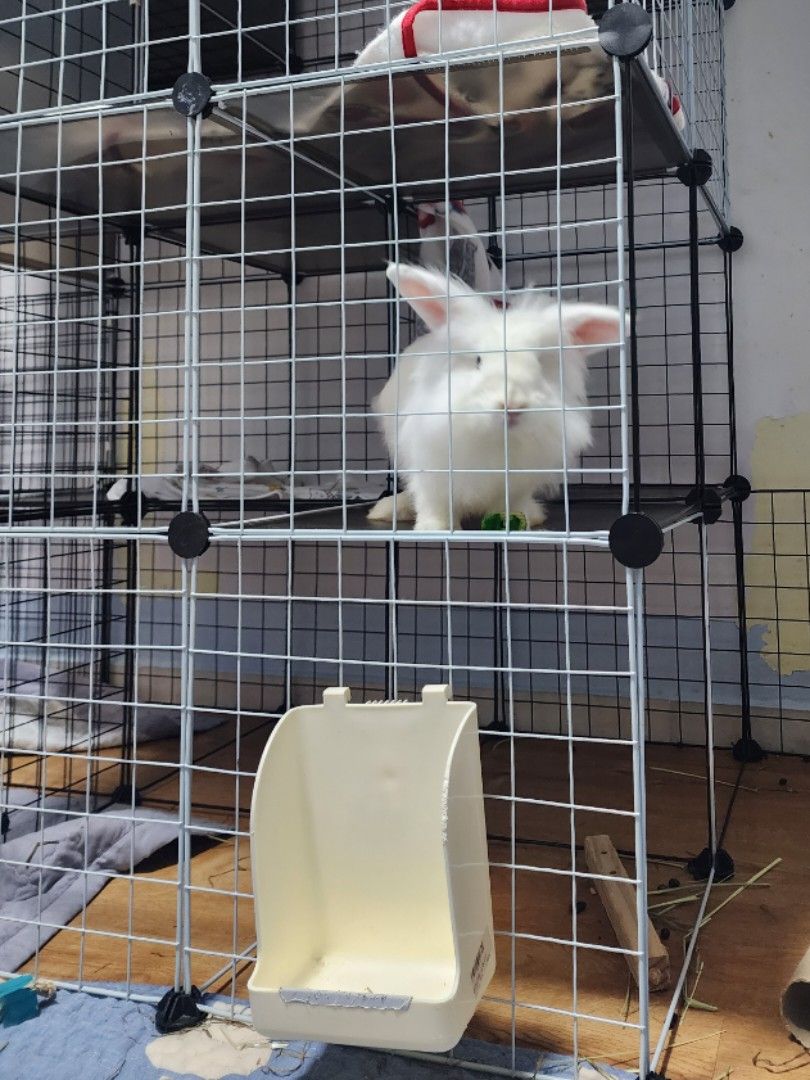 modular cage / playpen full panels, covered and external grids w ...