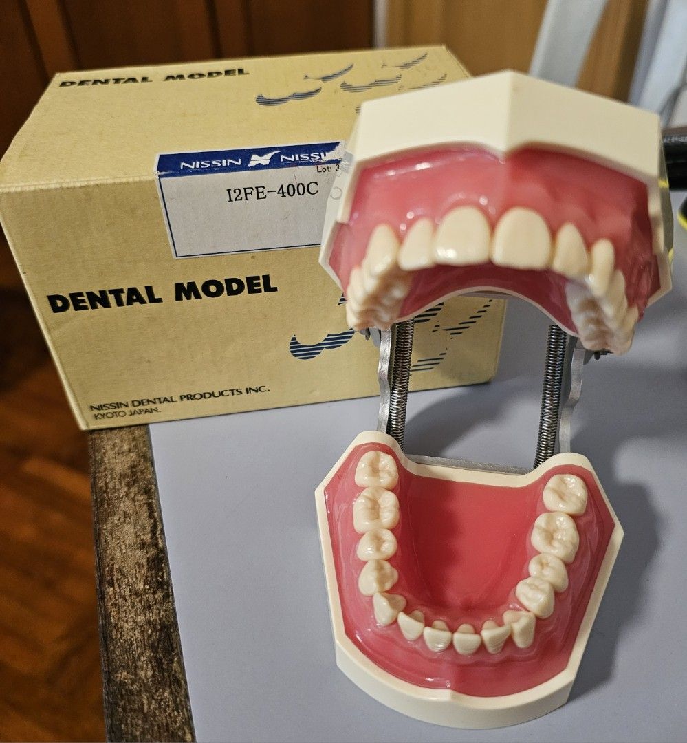 Nissin Dental Model I2FE 400C Teeth, Health & Nutrition, Medical ...