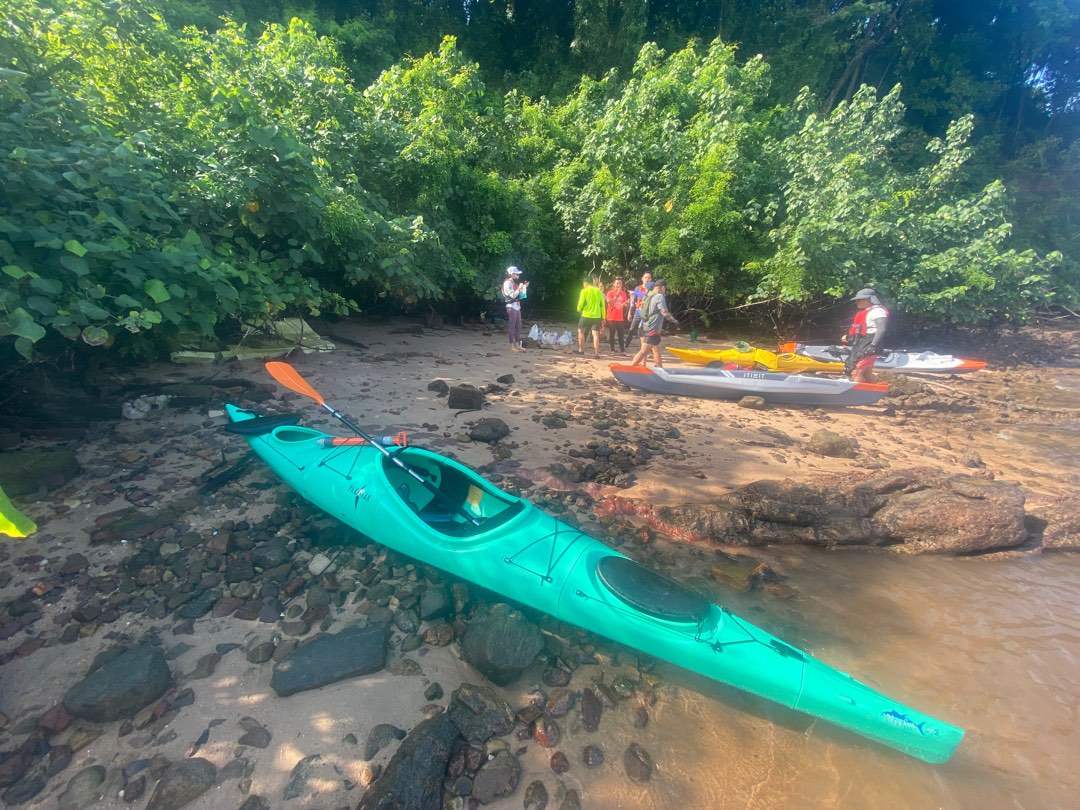 Pakayak Bluefin 142 Surf Green, Sports Equipment, Sports & Games, Water ...